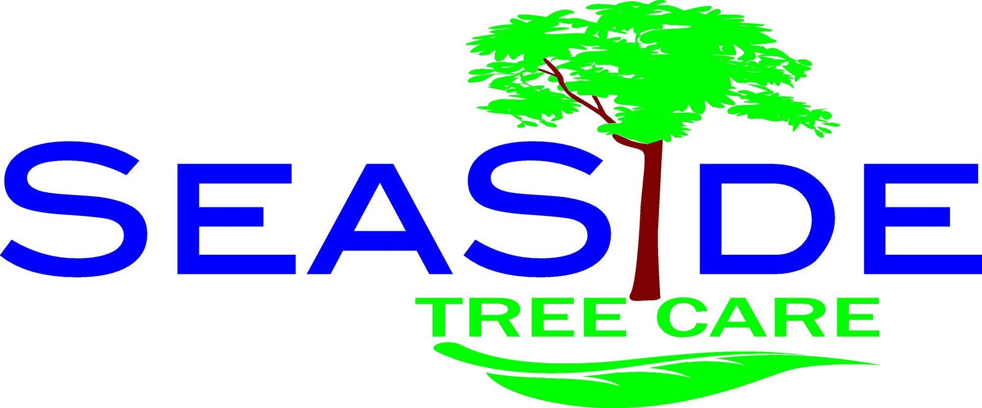 Tree Surgeons, Arborists Eastbourne - Seaside Tree Care